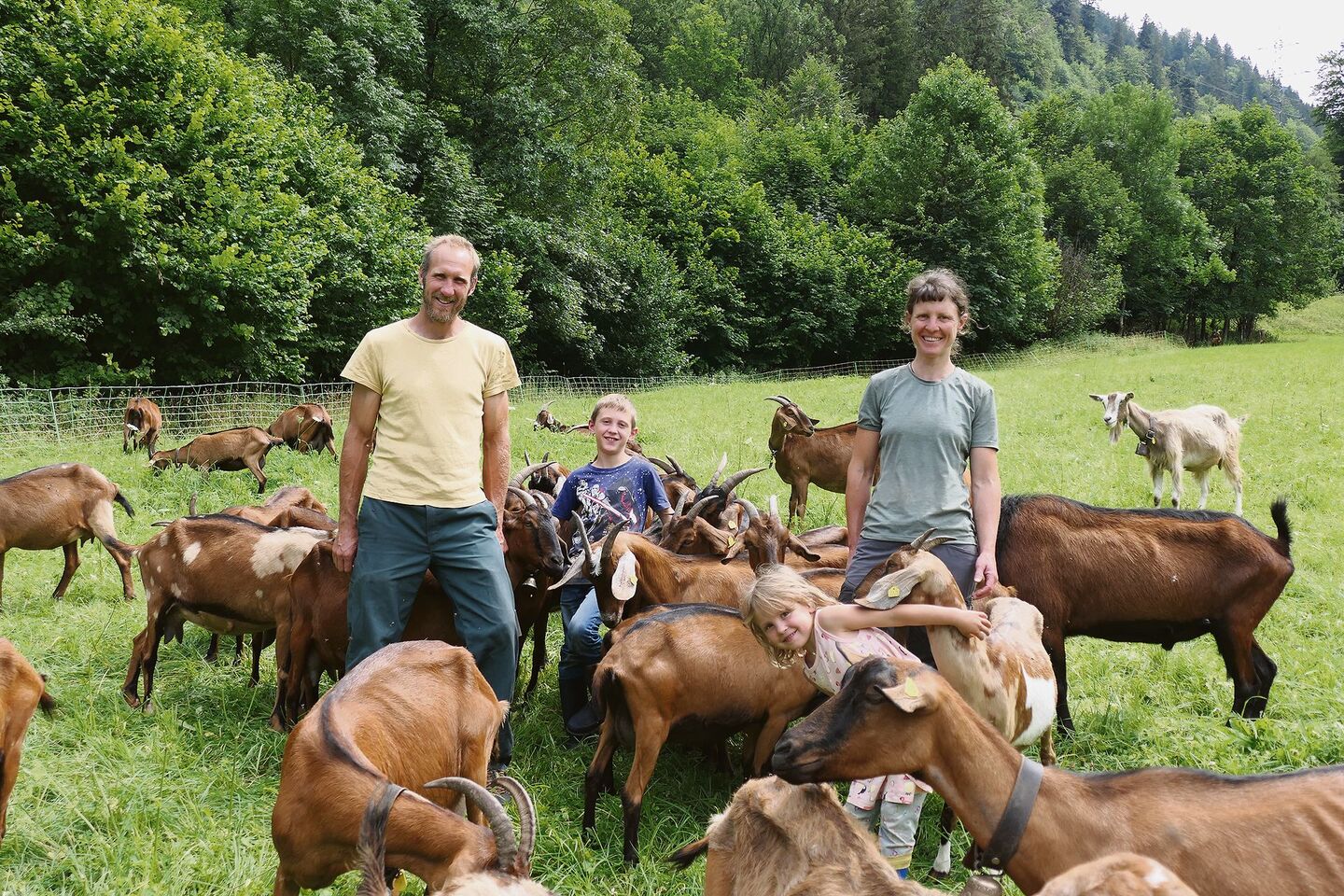 Die Ziegen von Simone Burki und Samuel Bommeli sind trittsicher und ...