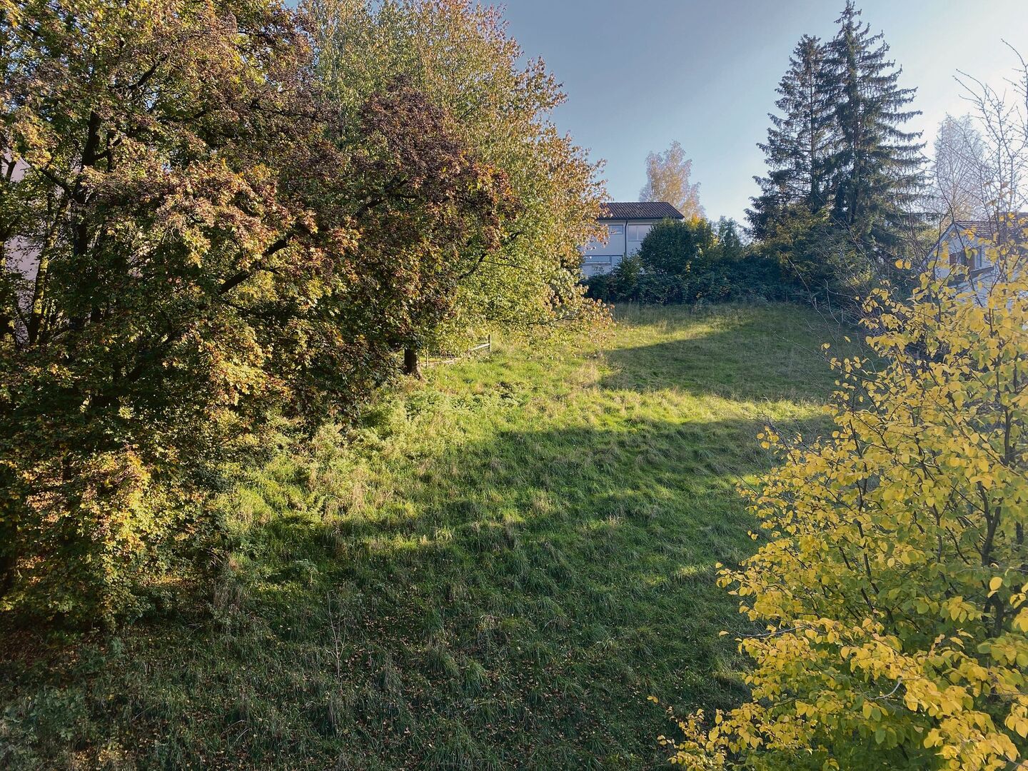 Wird es nochmal richtig sommerlich? - bauernzeitung.ch | BauernZeitung