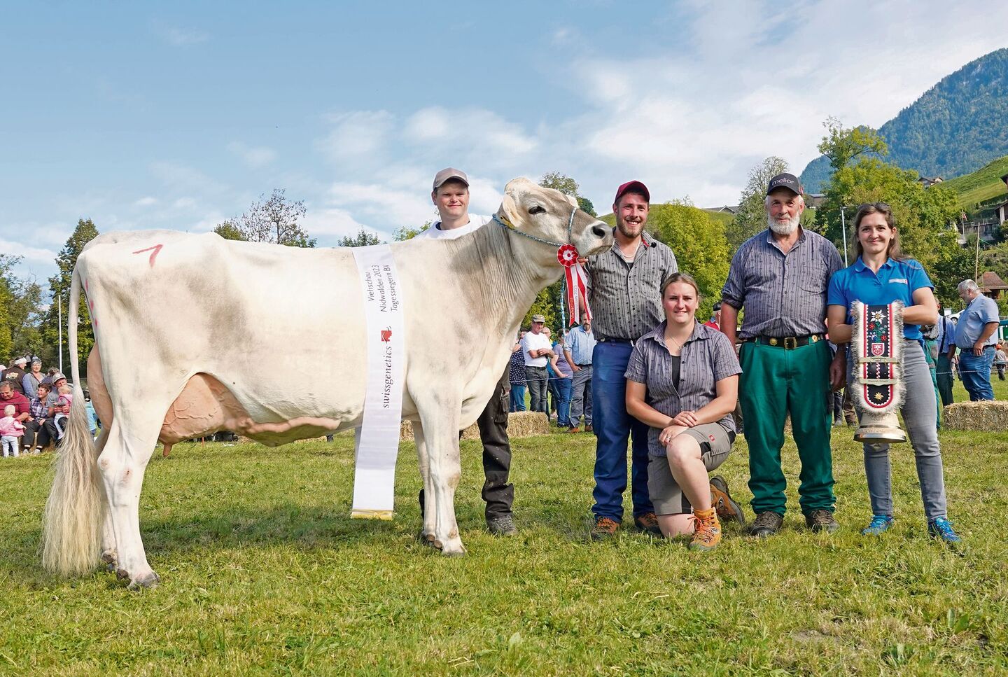 Junge Züchter prägten die Nidwaldner Viehschau - bauernzeitung.ch | BauernZeitung